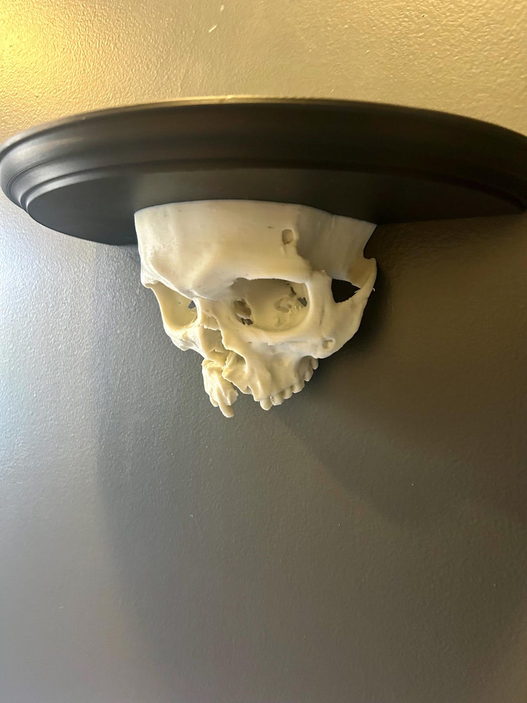 Gothic Skull Wall Shelf | Macabre Decor | Spooky Floating Shelf - Etsy