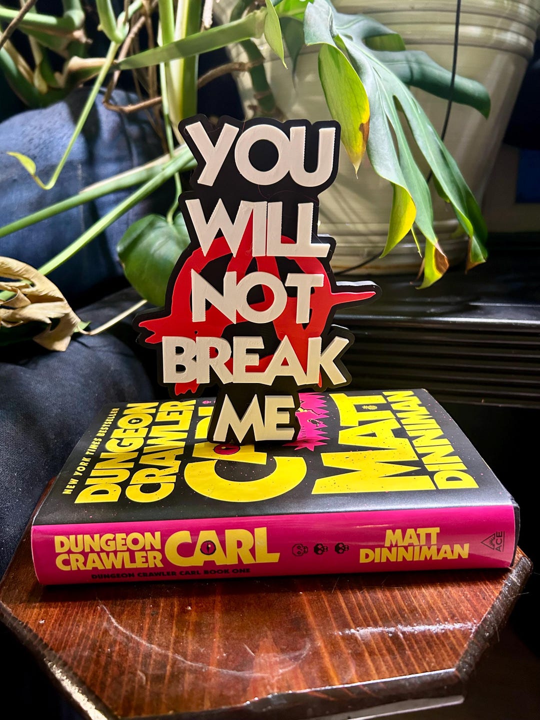 Dungeon Crawler Carl Sign You Will Not Break Me Quote Litrpg 6707