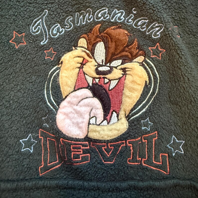 Vintage Looney Tunes Tasmanian Devil Hoodie – 90s Fleece Pullover With Embroidered Taz - Etsy