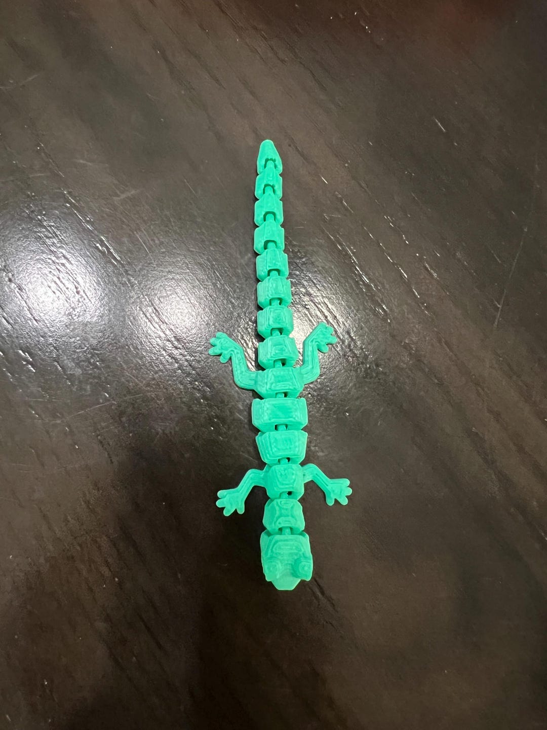 3D Printed Floppy Lizard - Etsy
