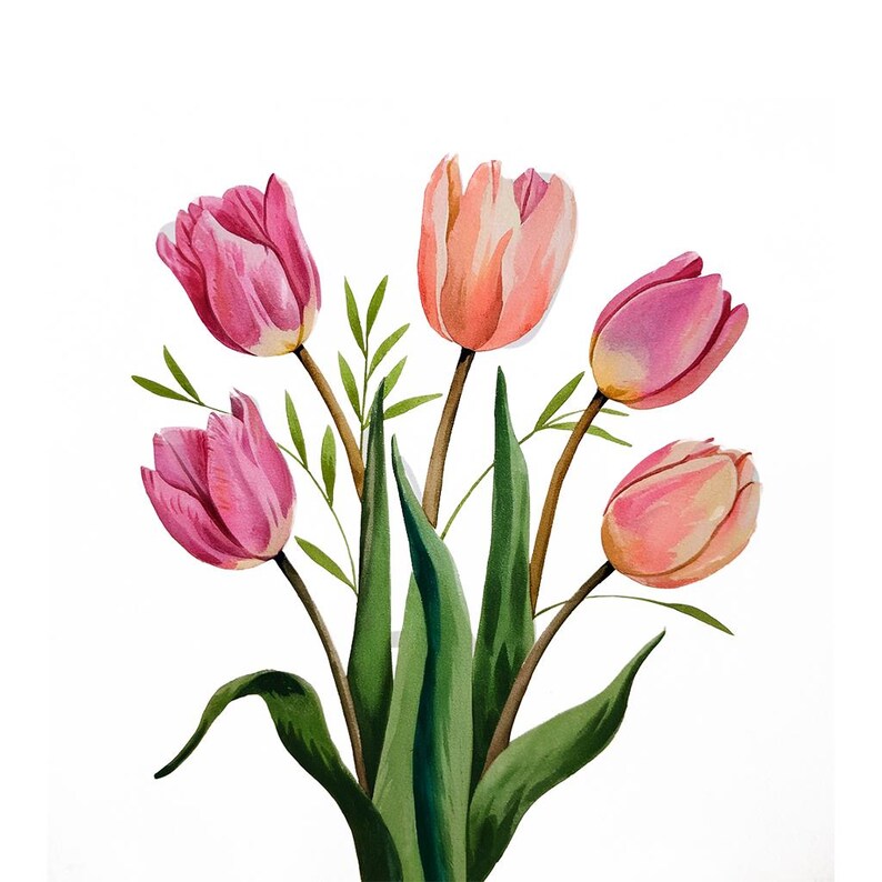 Watercolor Tulips Clipart - Watercolor Floral Clipart Png - Watercolor ...