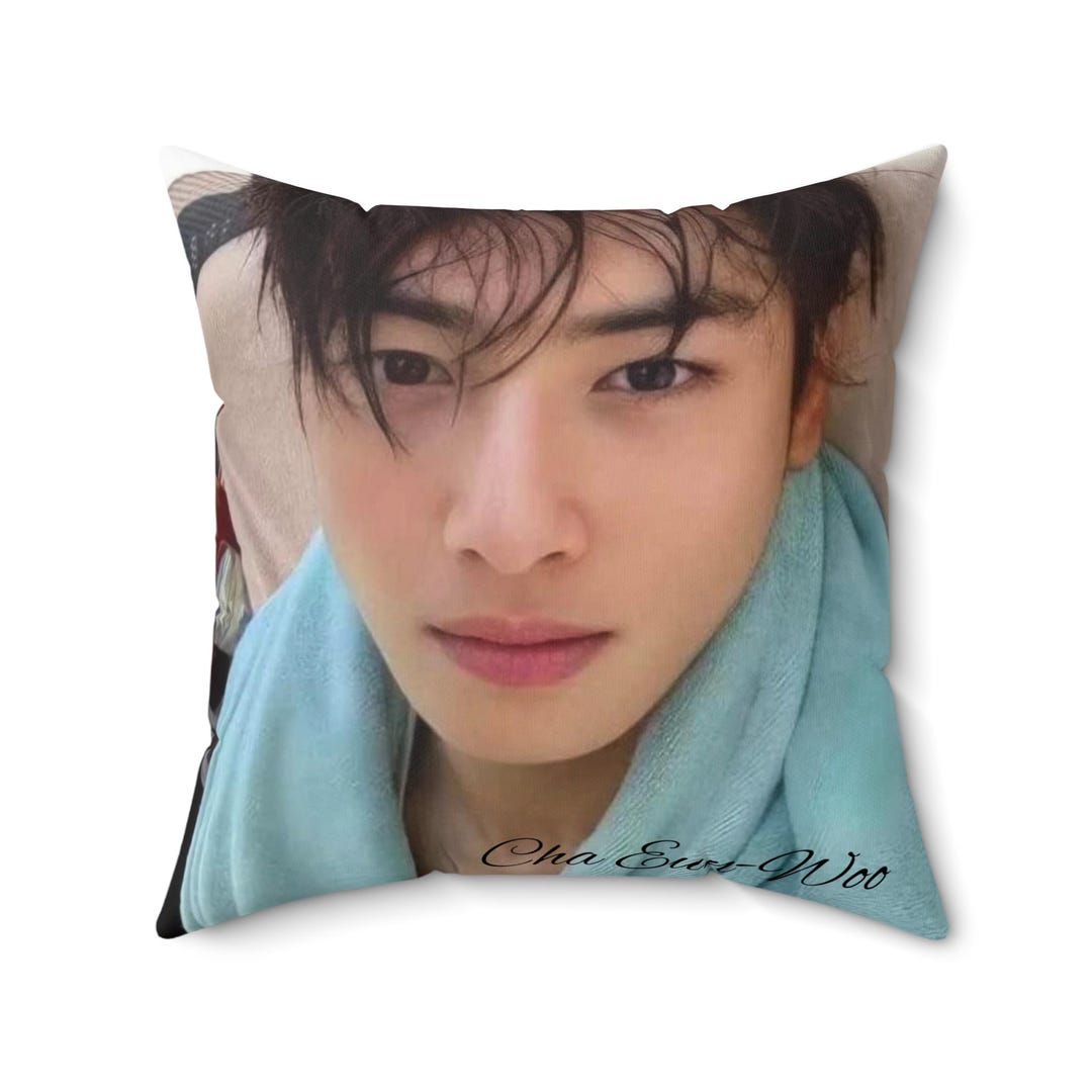 Cha Eun-woo Special Fan Pillow K-pop Decorative Pillow, Cozy Room Decor ...