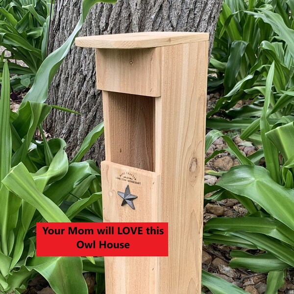 Owl Box - Etsy