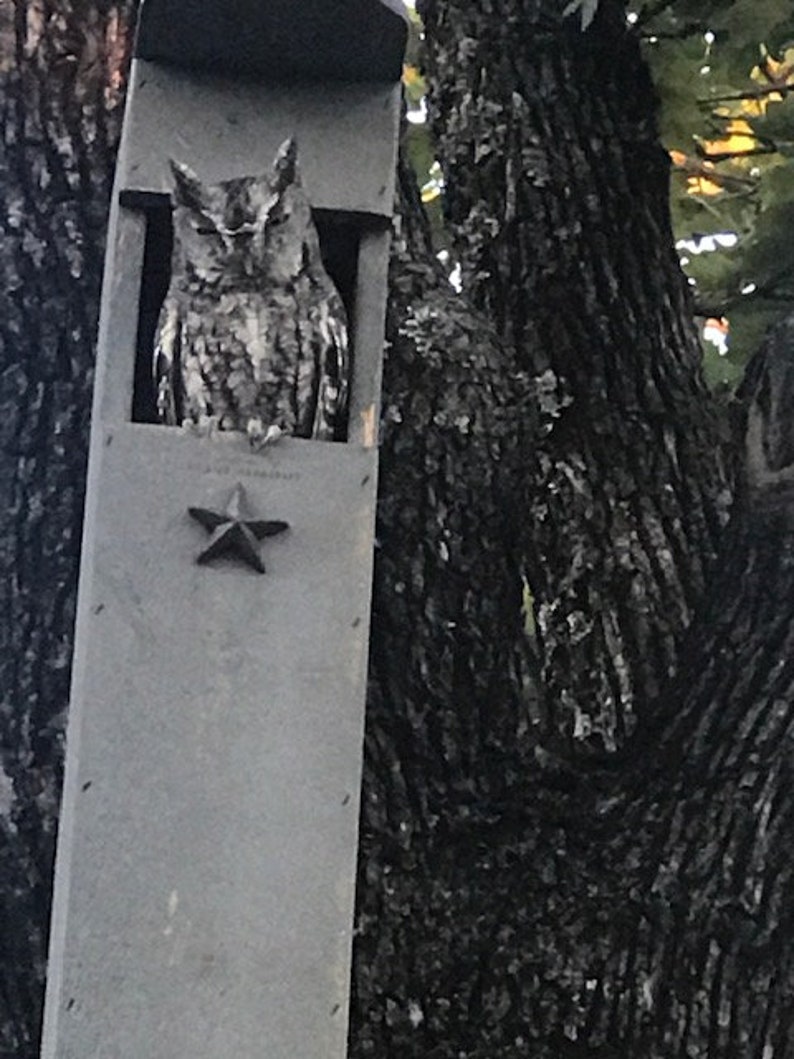 Veteran Made Owl House / Nesting Box Screech Owls / Western Red Cedar ...