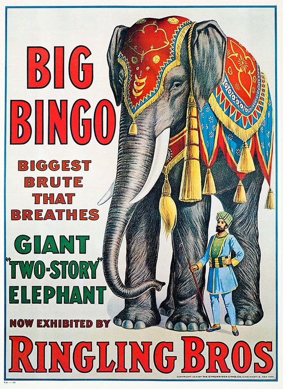 Circus Elephant Poster