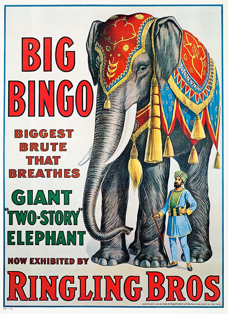 Vintage Circus Elephant Poster