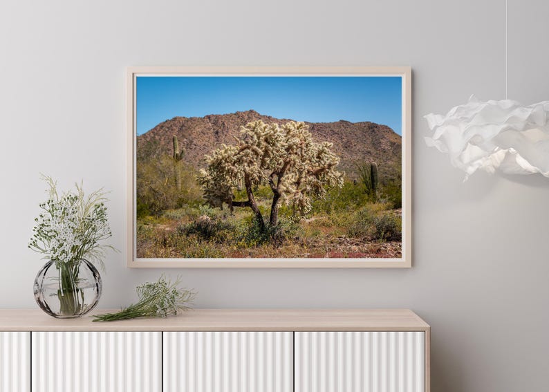 Arizona Desert Landscape Photo, Cactus Desertscape, Wall Art, Digital ...