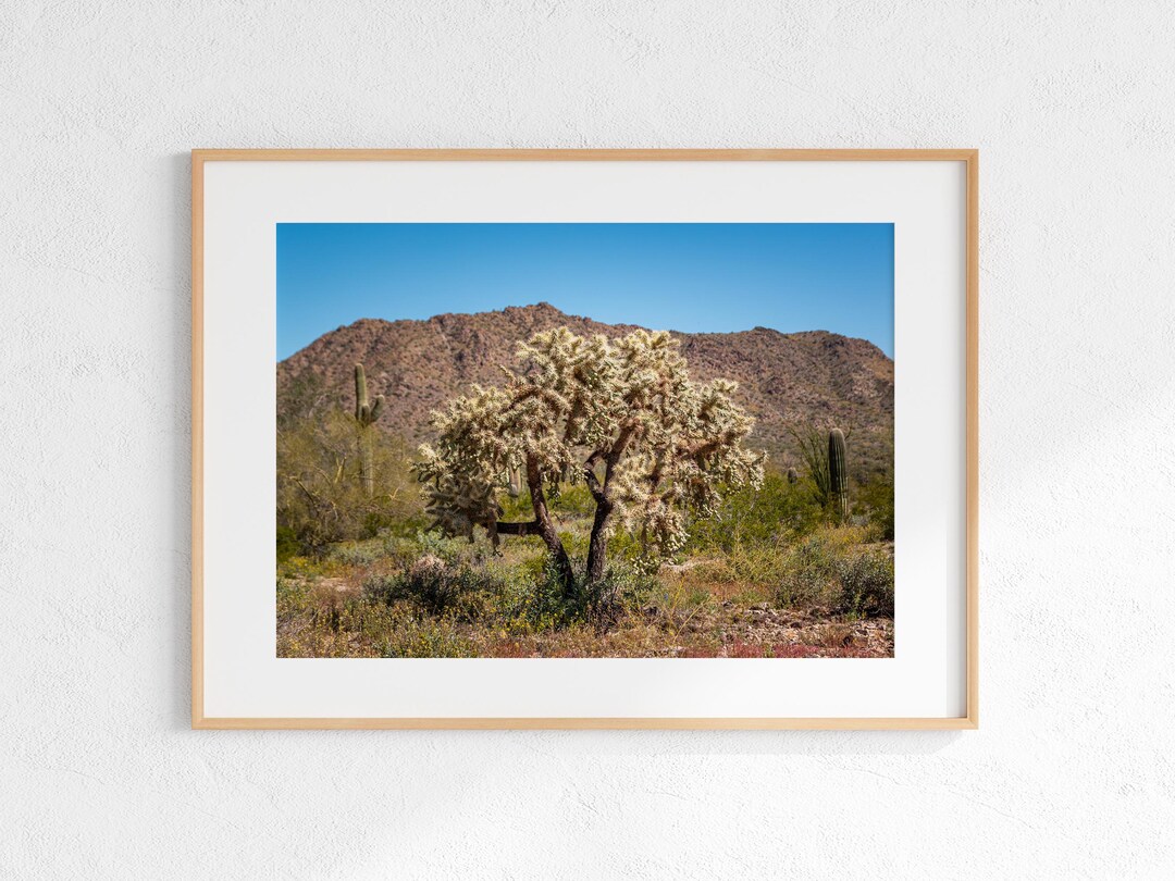 Arizona Desert Landscape Photo, Cactus Desertscape, Wall Art, Digital ...