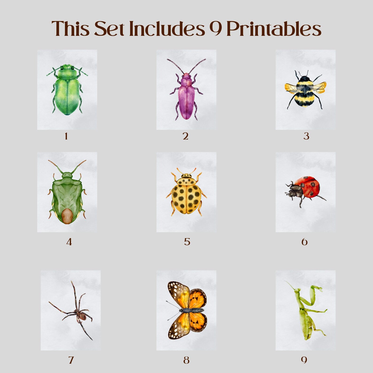Bug Prints Wall Art Gift, Set of 9 Printable Bugs Baby Room Decor, Bug ...