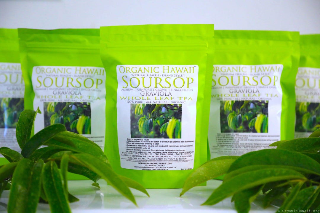 Organic Hawaii Soursop Whole Leaves for Tea (graviola/guyabano/annona ...