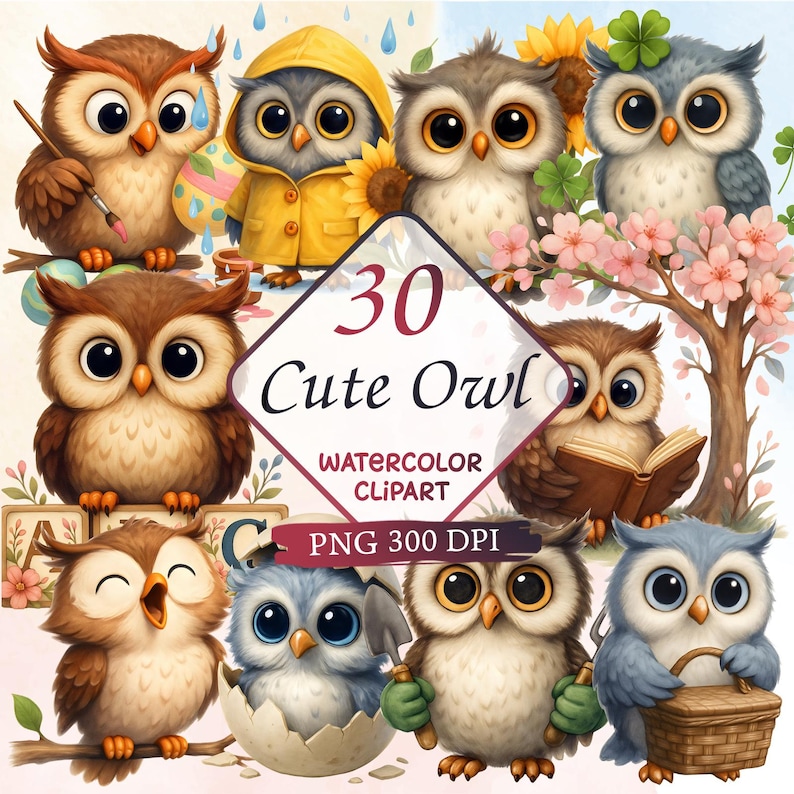 Cute Owl Watercolor Clipart Bundle, Commercial Use (PNG) - Etsy