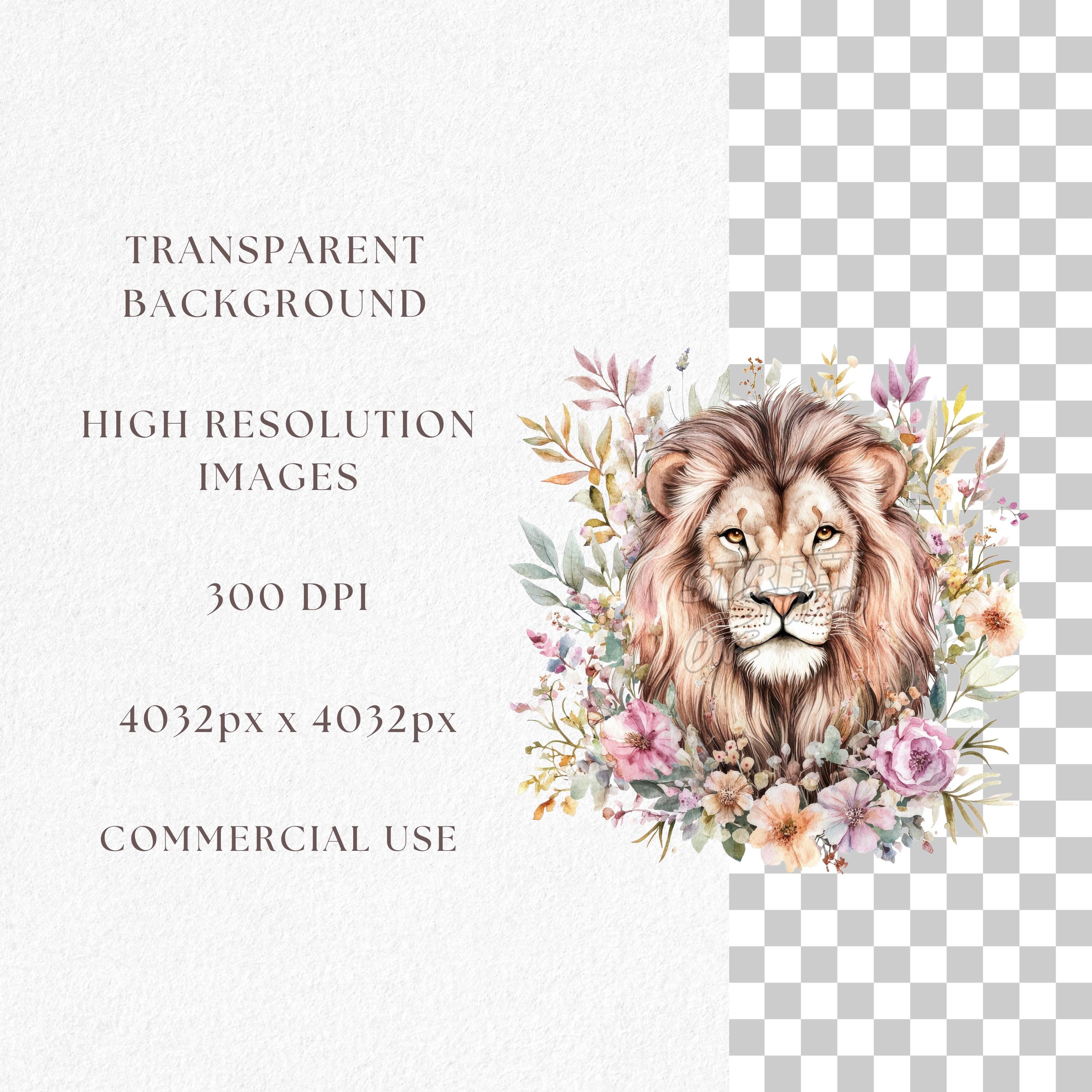 Floral Lion Clipart: Watercolor Jungle Animal PNG (digital Download, 11 ...