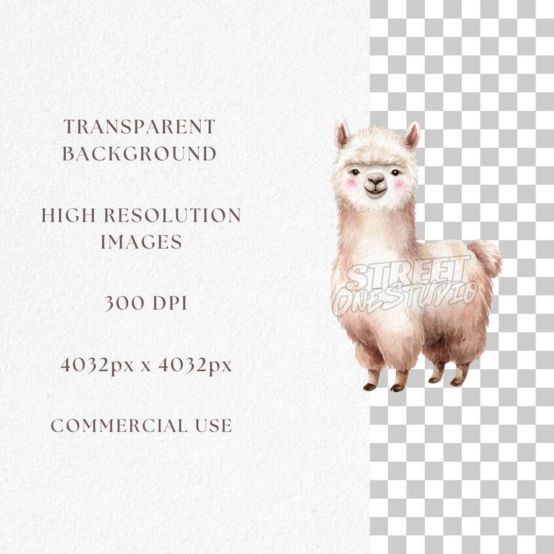 Fluffy Alpaca Clipart, Cute Alpaca PNG, Watercolor Alpaca, Cartoon ...