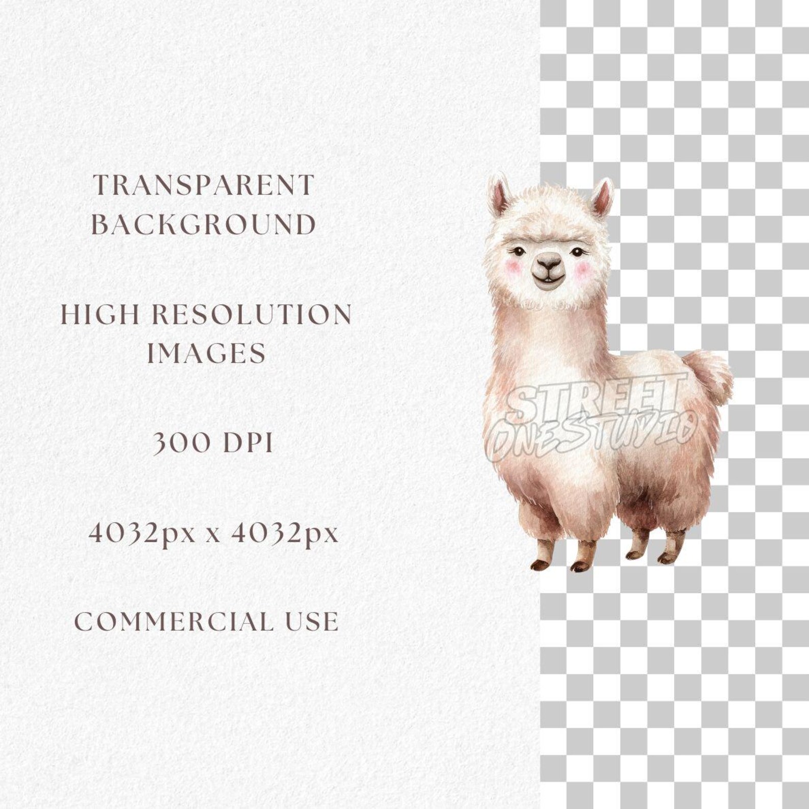 Fluffy Alpaca Clipart, Cute Alpaca PNG, Watercolor Alpaca, Cartoon ...