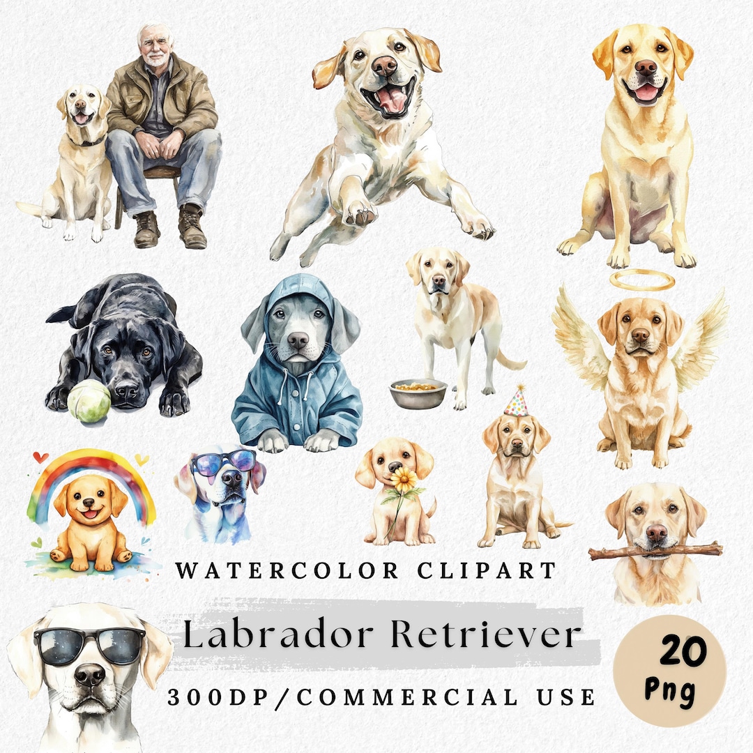 Watercolor Labrador Clipart: Yellow, Black, Chocolate Lab PNG (digital ...