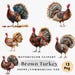 Watercolor Turkey Clipart: Thanksgiving Fall Animal PNG (digital ...