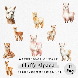 Fluffy Alpaca Clipart, Cute Alpaca PNG, Watercolor Alpaca, Cartoon ...