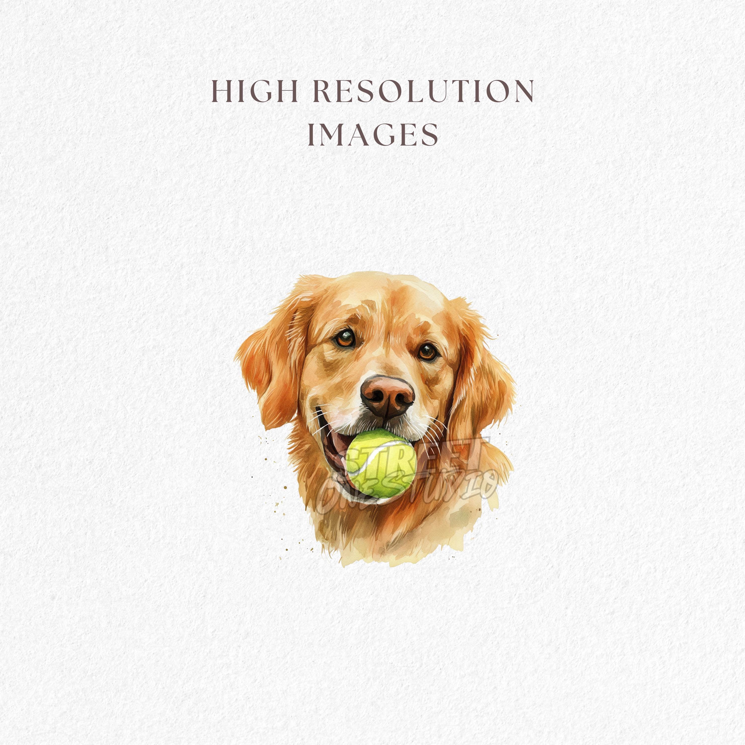 Golden Retriever Clipart, Cute Dog PNG Bundle, Watercolor Golden ...