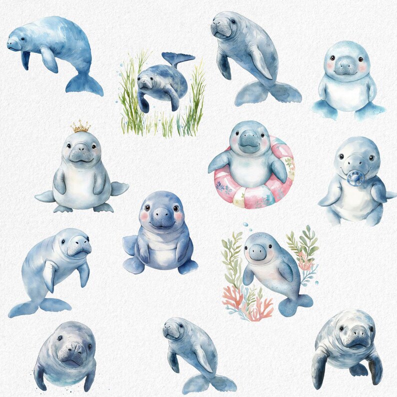 Watercolor Manatee Clipart: Sea Cow PNG Images (digital Download, 21 ...