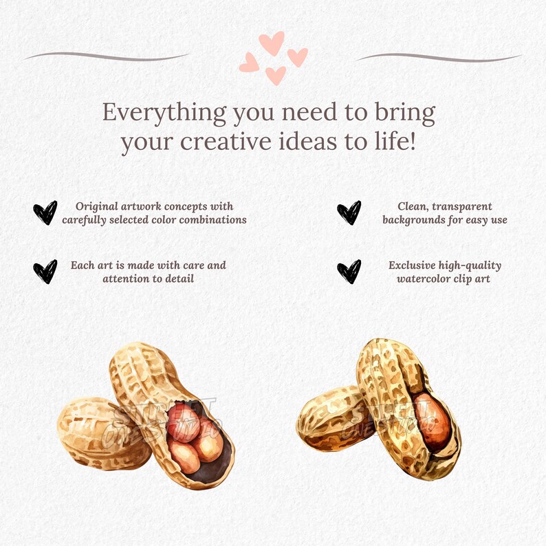Watercolor Peanut Clipart: Food Graphics Bundle (digital Download, 11 ...