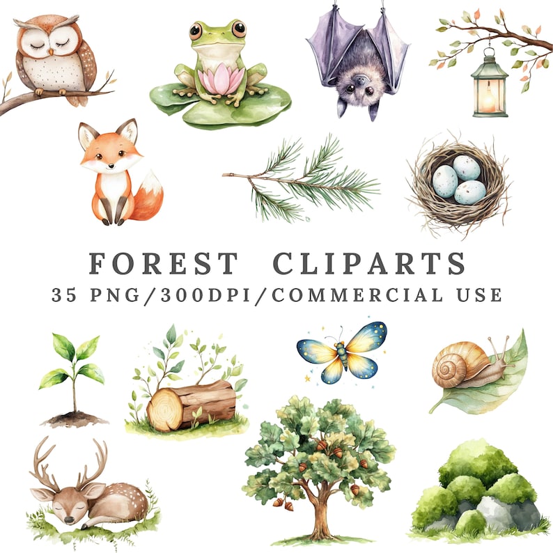 35 Watercolor Forest Clipart, Cute Woodland Animals PNG, Enchanted ...