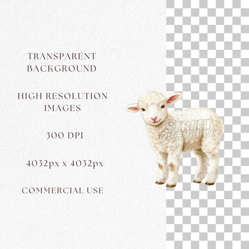 Sheep Clipart, Watercolor Lamb PNG, Cute Farm Animal Clip Art, Baby ...