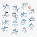 Shark Clipart Bundle, Cute Shark Pngs, Watercolor Ocean Animal PNG ...