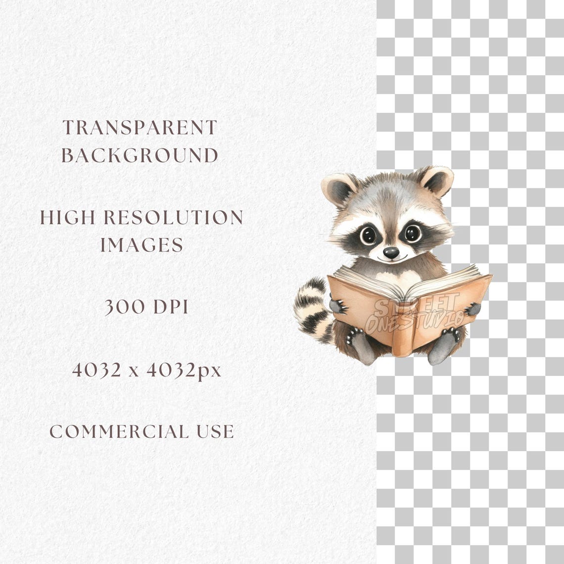 Cute Raccoon Clipart Bundle, Kawaii Woodland Animal Character, Forest ...