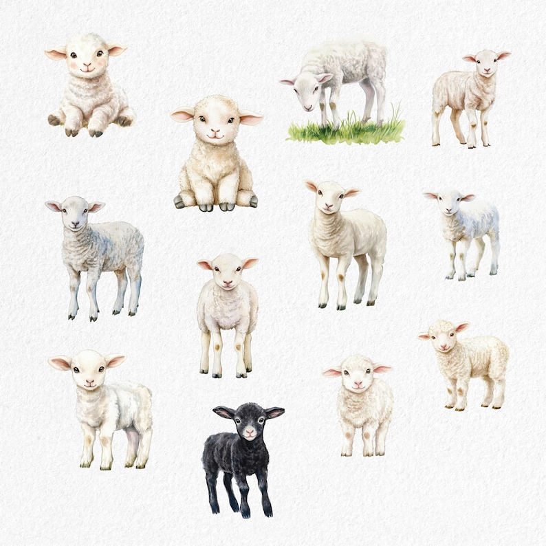 Sheep Clipart, Watercolor Lamb PNG, Cute Farm Animal Clip Art, Baby ...