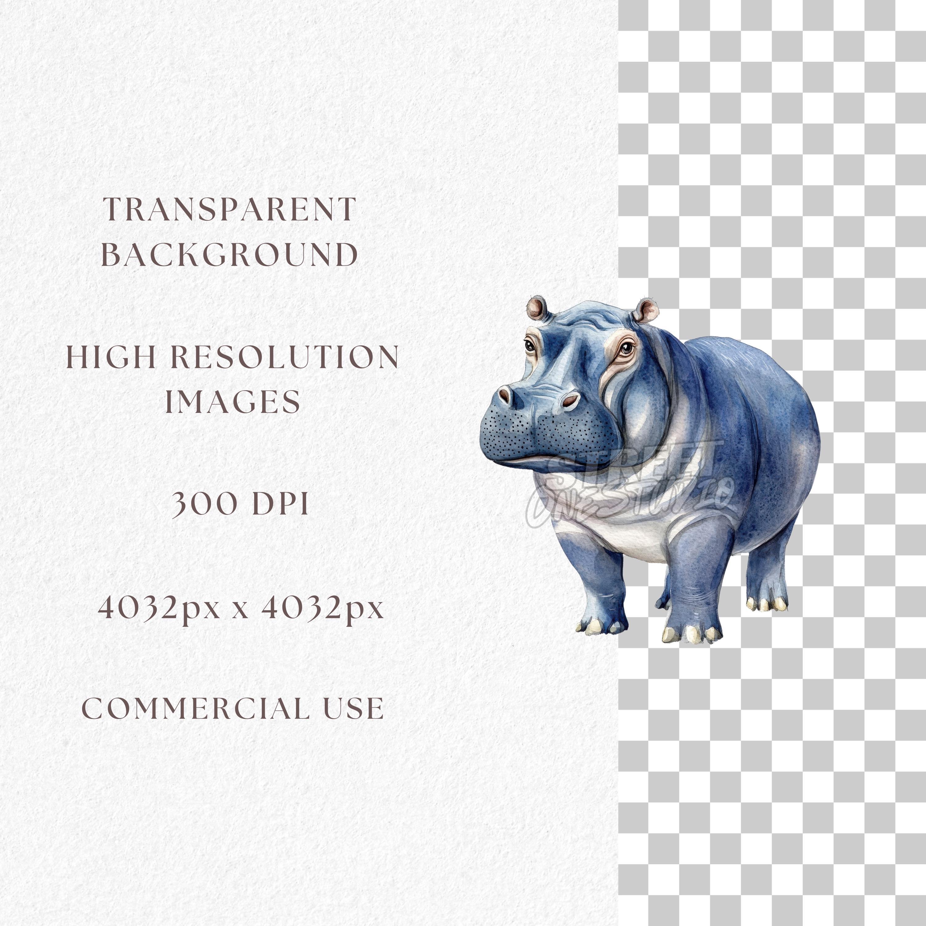 Watercolor Hippo Clipart: Safari Animal PNG Images (digital Download ...