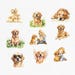 Golden Retriever Clipart, Cute Dog PNG Bundle, Watercolor Golden ...