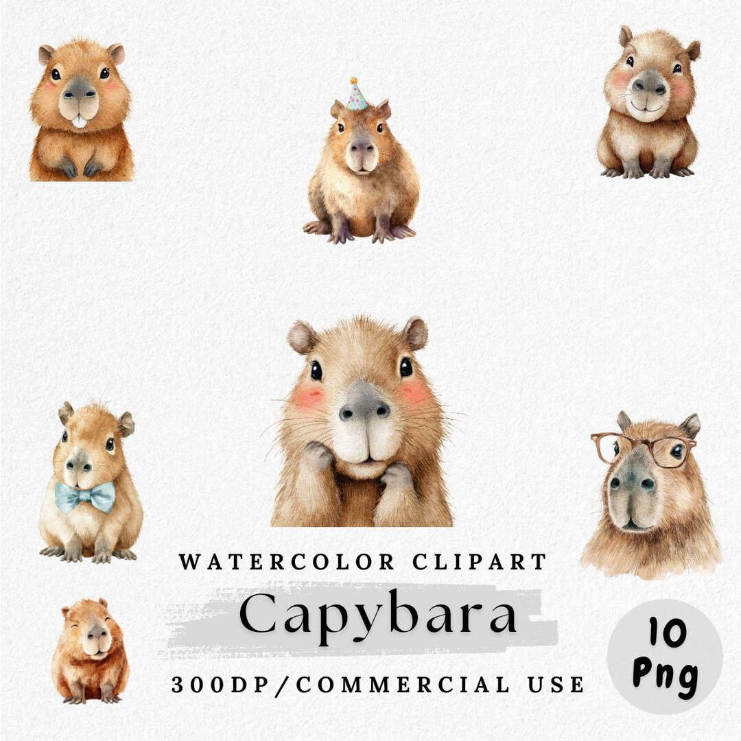 Watercolor Capybara Clipart Bundle: Funny Jungle Animal PNG (digital ...