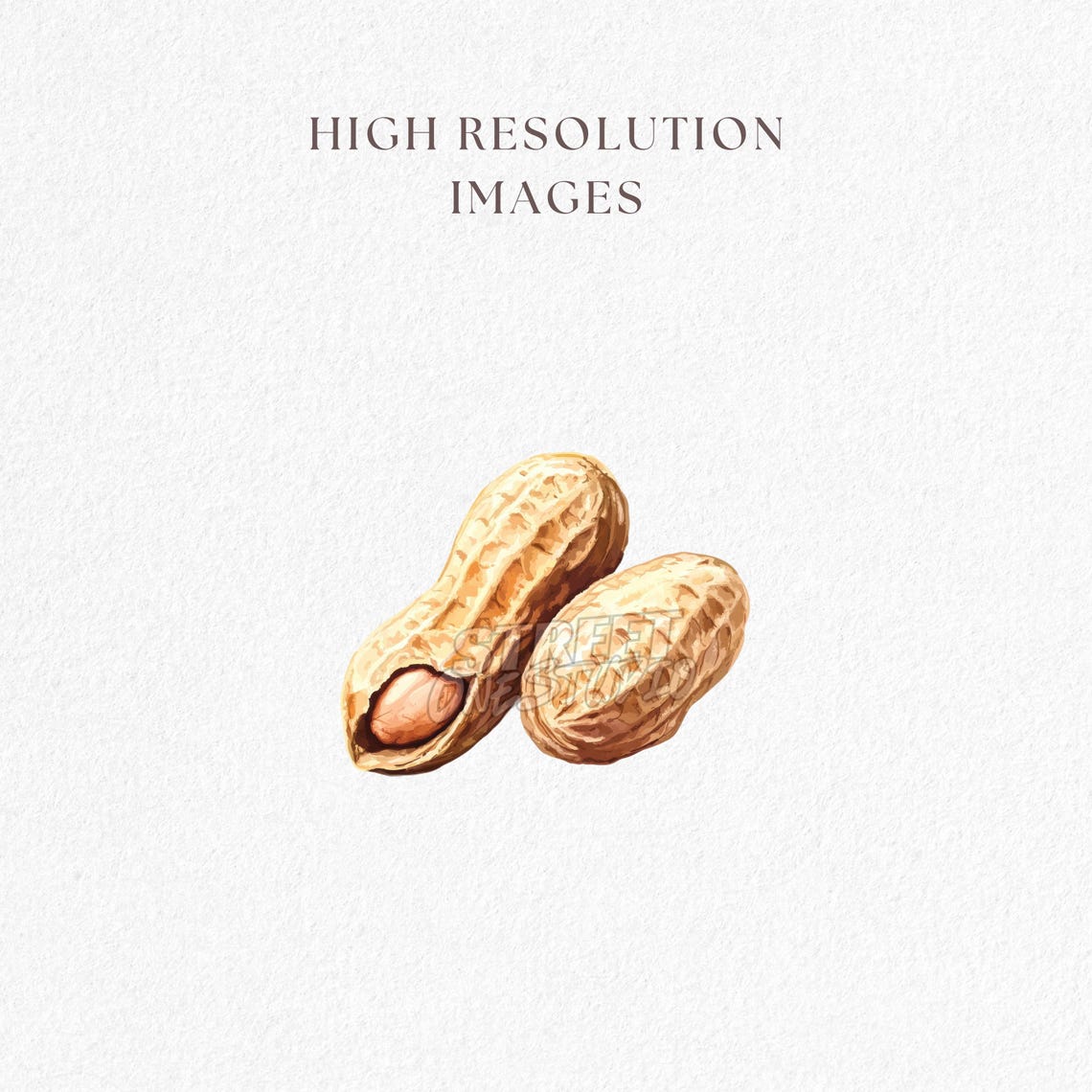 Watercolor Peanut Clipart: Food Graphics Bundle (digital Download, 11 ...