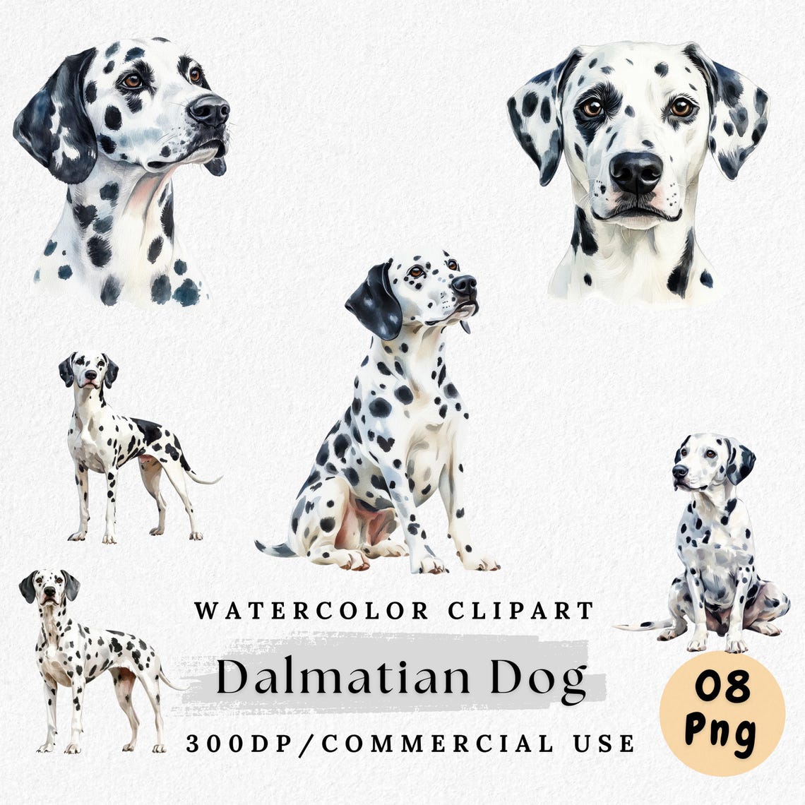 Watercolor Dalmatian Dog Clipart: Firehouse Puppy PNG (digital Download ...
