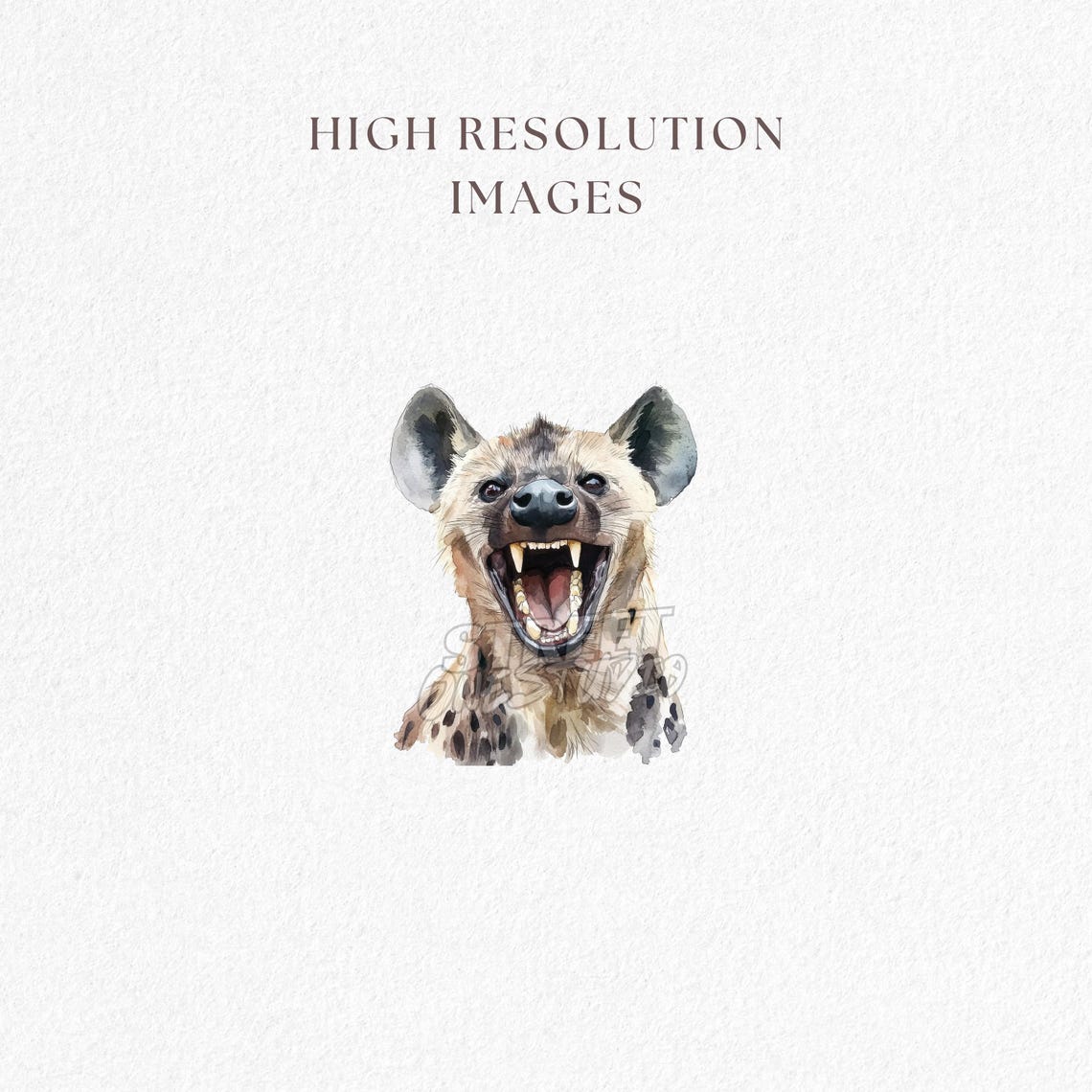 Watercolor Hyena Clipart: Safari Animal PNG Images (digital Download ...