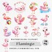 Tropical Clipart, Tropical Birds Clip Art, Tropical Summer, Flamingo ...