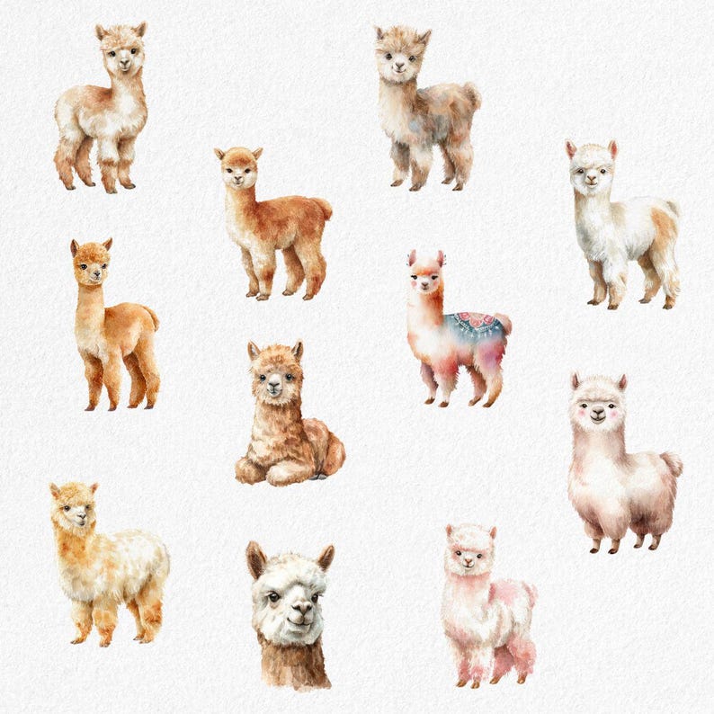 Fluffy Alpaca Clipart, Cute Alpaca PNG, Watercolor Alpaca, Cartoon ...