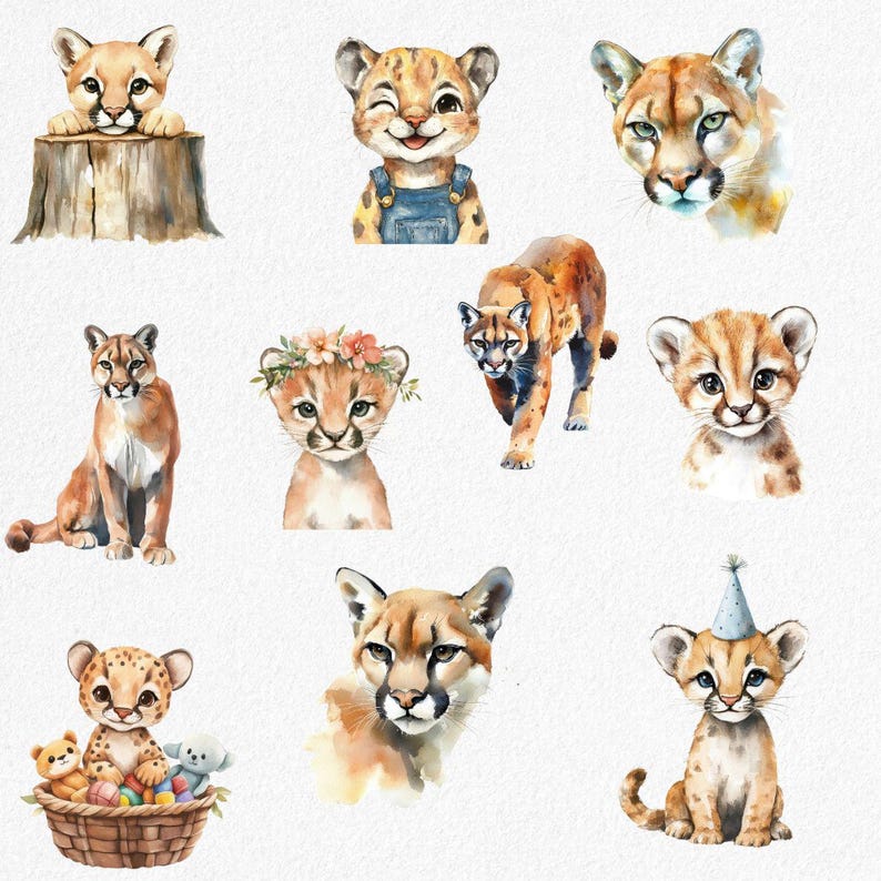 Watercolor Puma Clipart: Jungle Cat PNG Images (digital Download ...