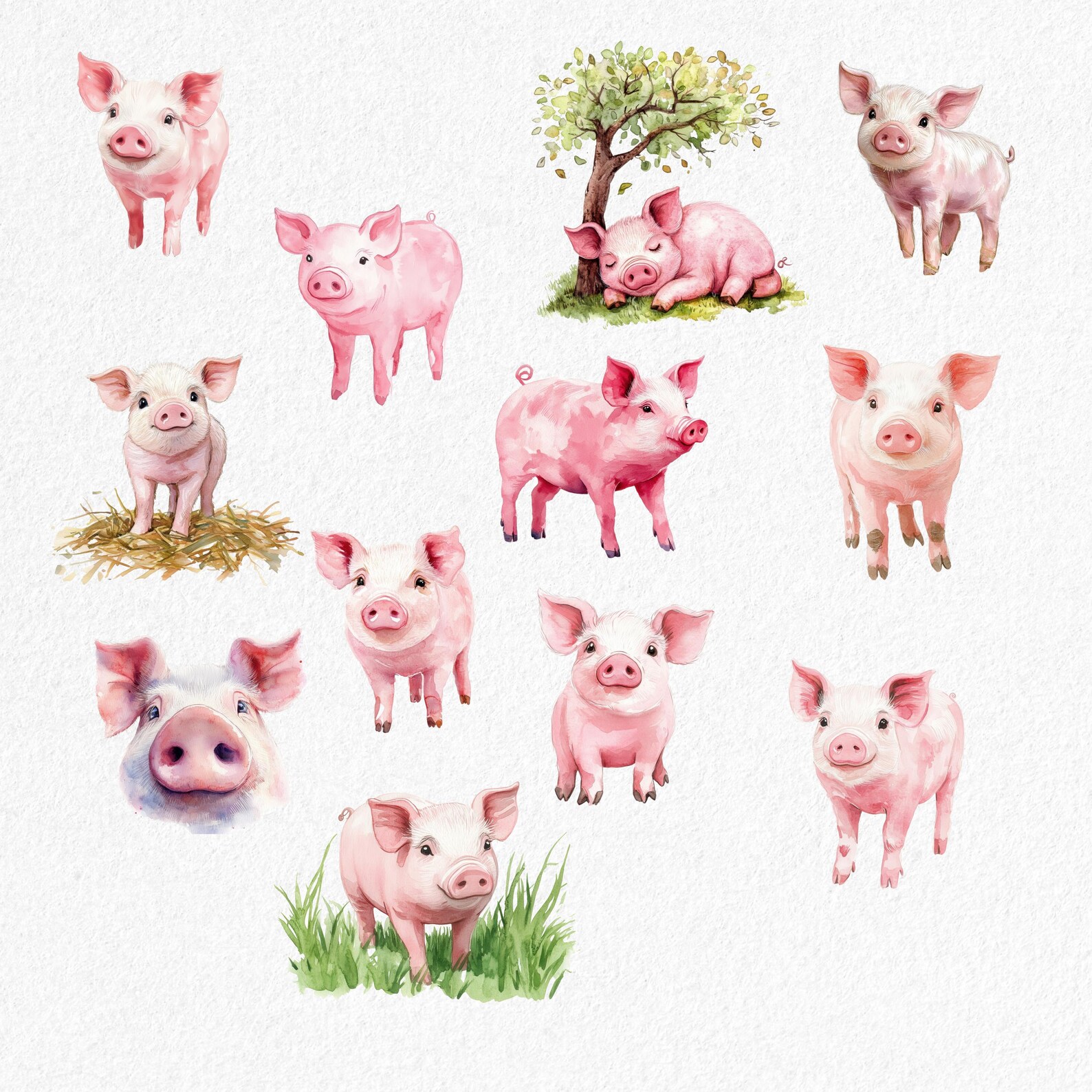 Pig Clipart, Watercolor Pig PNG, Cute Farm Animal Clip Art, Baby Pig ...
