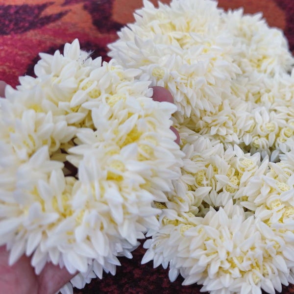 Hand Gajra - Etsy