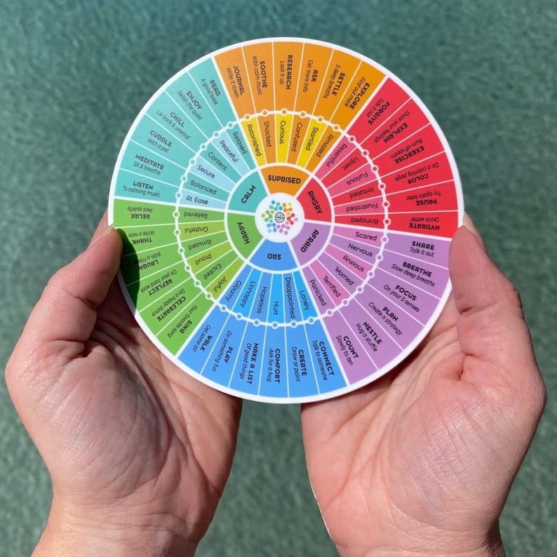 DISCOUNTED Bulk Pricing! Peel & Stick Emotions Wheel – SEL Visual Aid ...