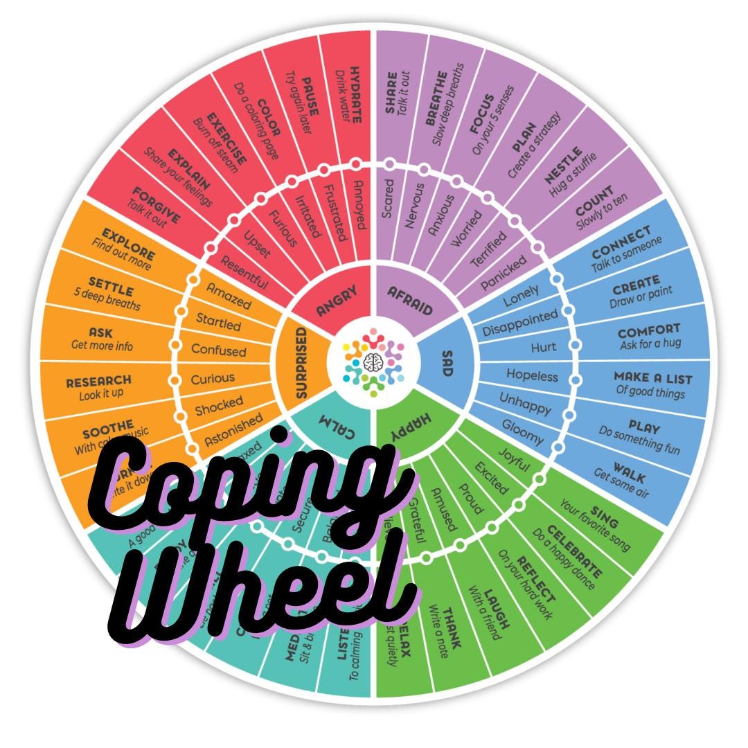 Peel & Stick Emotions Wheel – SEL Visual Aid, Classroom and Counseling ...