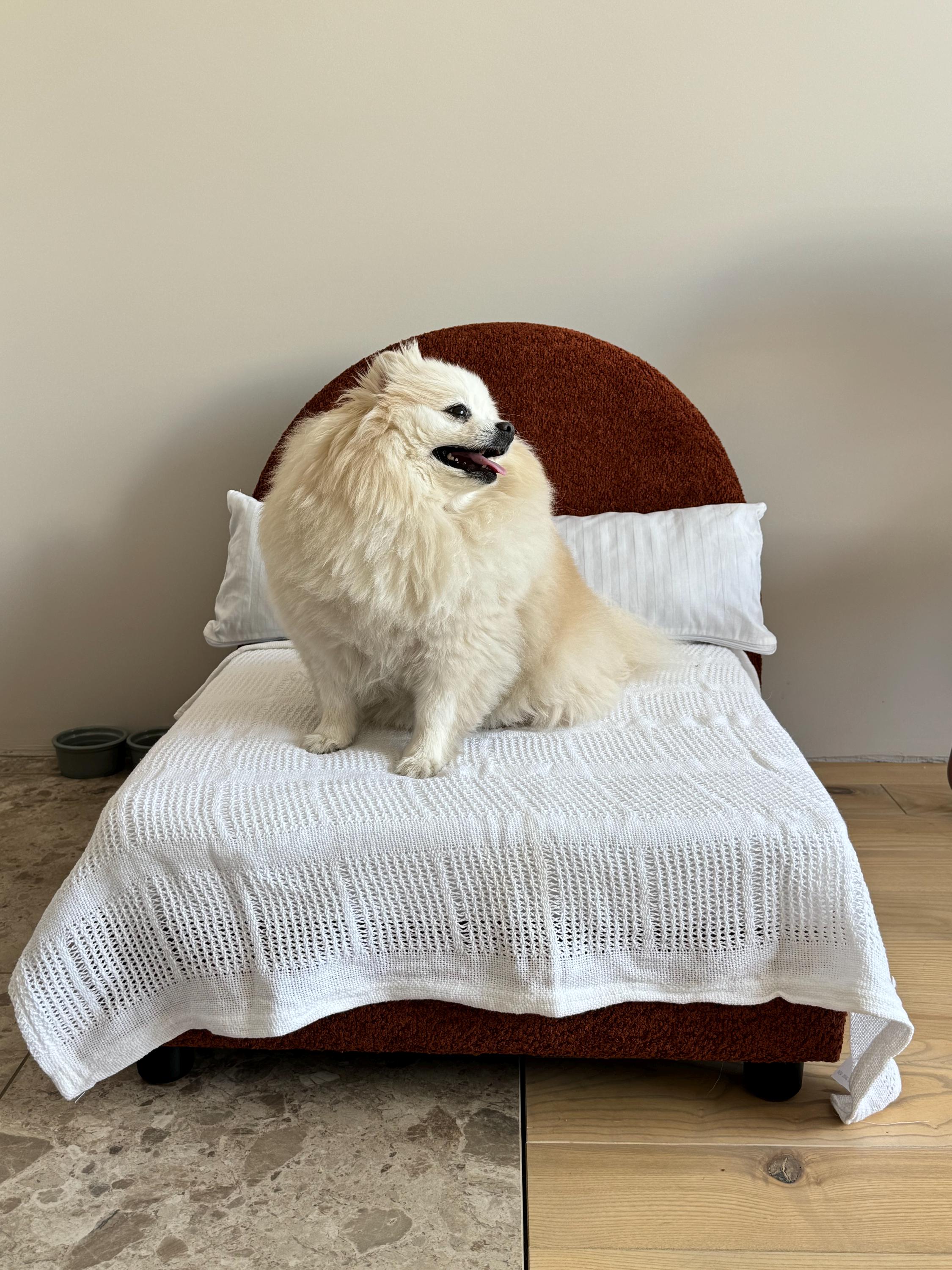 Handmade Wooden Pet Bed With Mattress, Cozy and Stylish, Perfect Gift ...