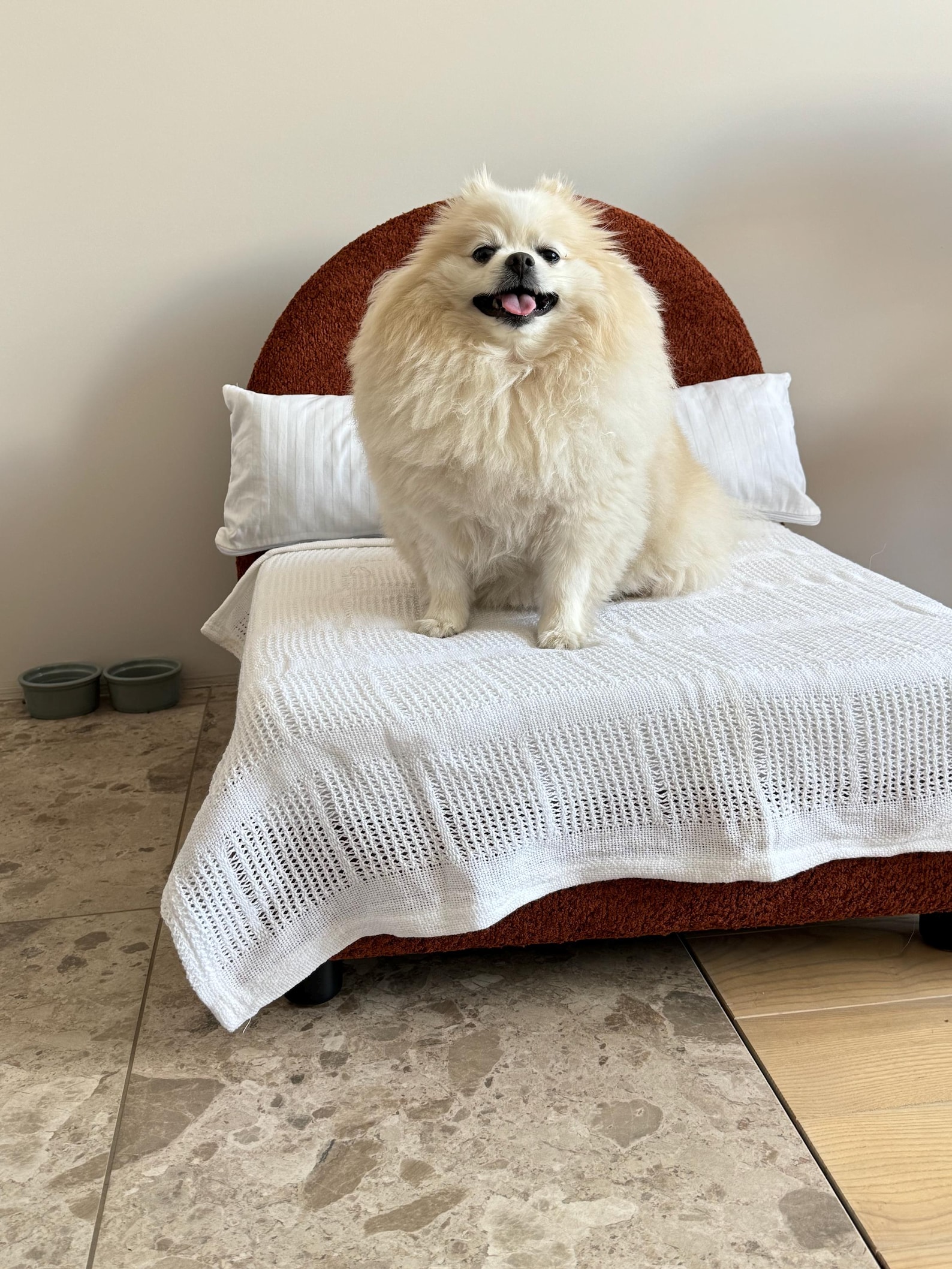 Handmade Wooden Pet Bed With Mattress, Cozy and Stylish, Perfect Gift ...