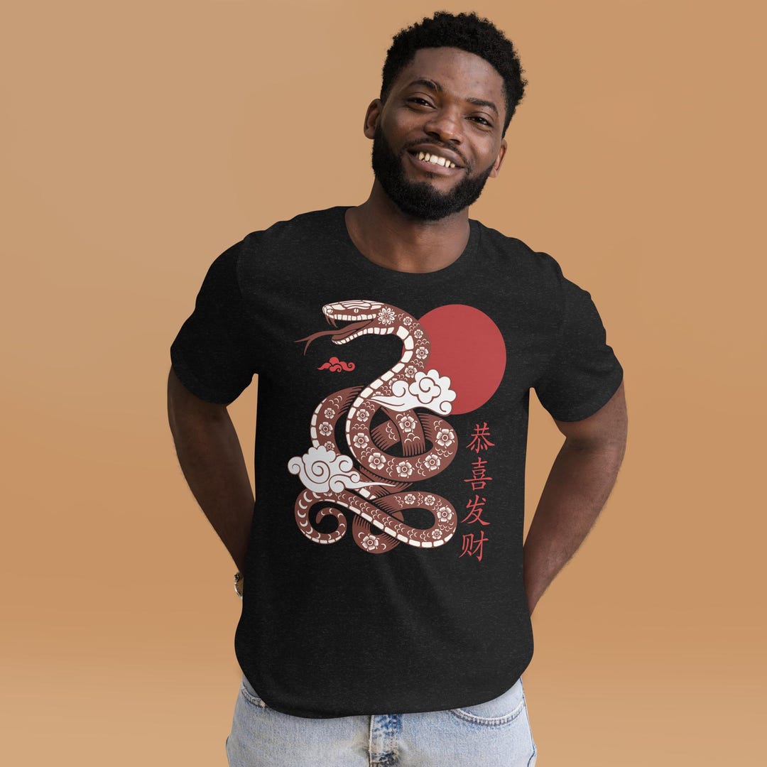 Dragon T-shirt: Chinese Hanzi Graphic Tee - Etsy