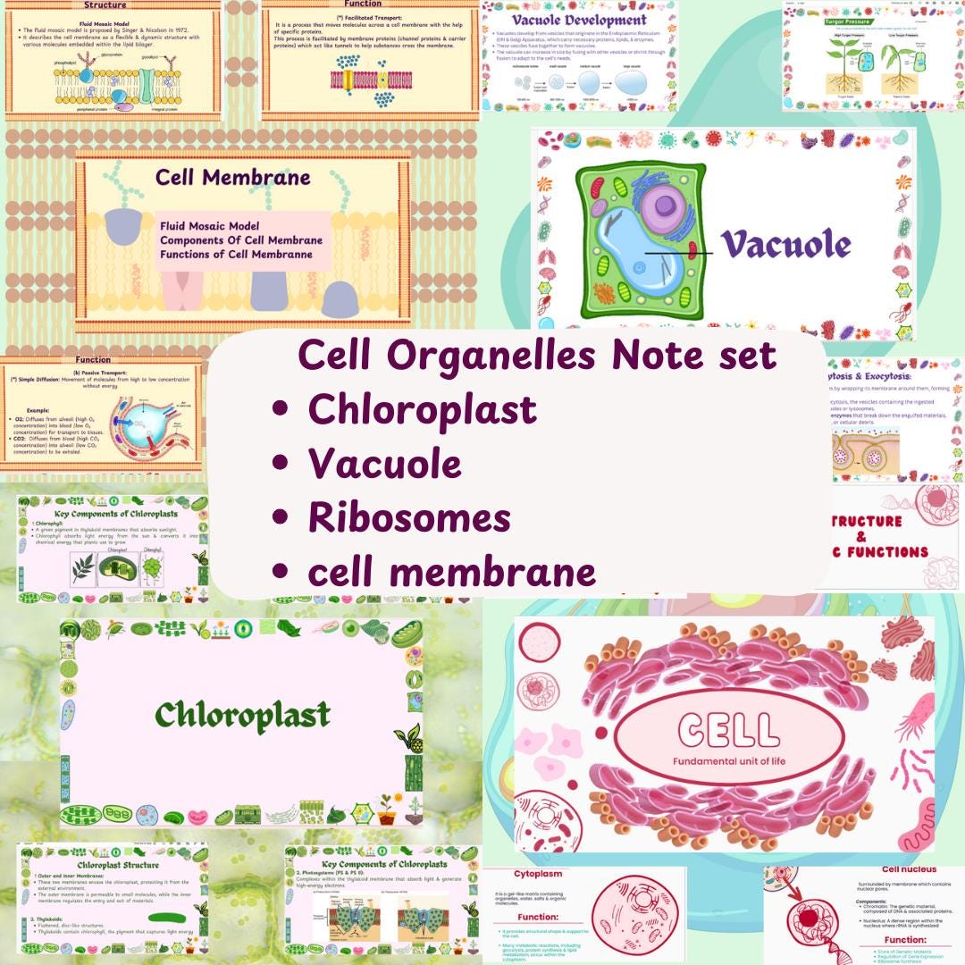 Cell Biology Notes: Organelles - Chloroplast, Vacuole (instant Download ...