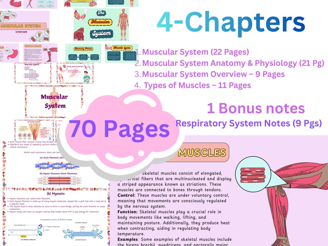 Muscular System Anatomy Notes Biomedical Students | Bonus Lecture ...