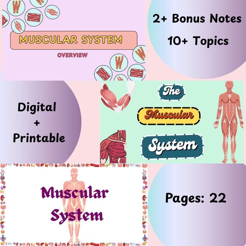 Muscular System Anatomy Notes Biomedical Students | Bonus Lecture ...