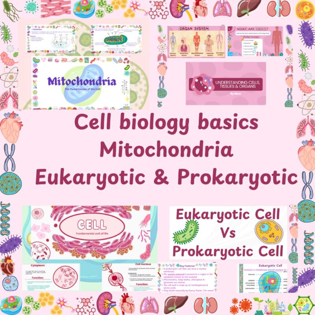 Cell Anatomy & Physiology Study Guide: Medical Notes (digital Download ...