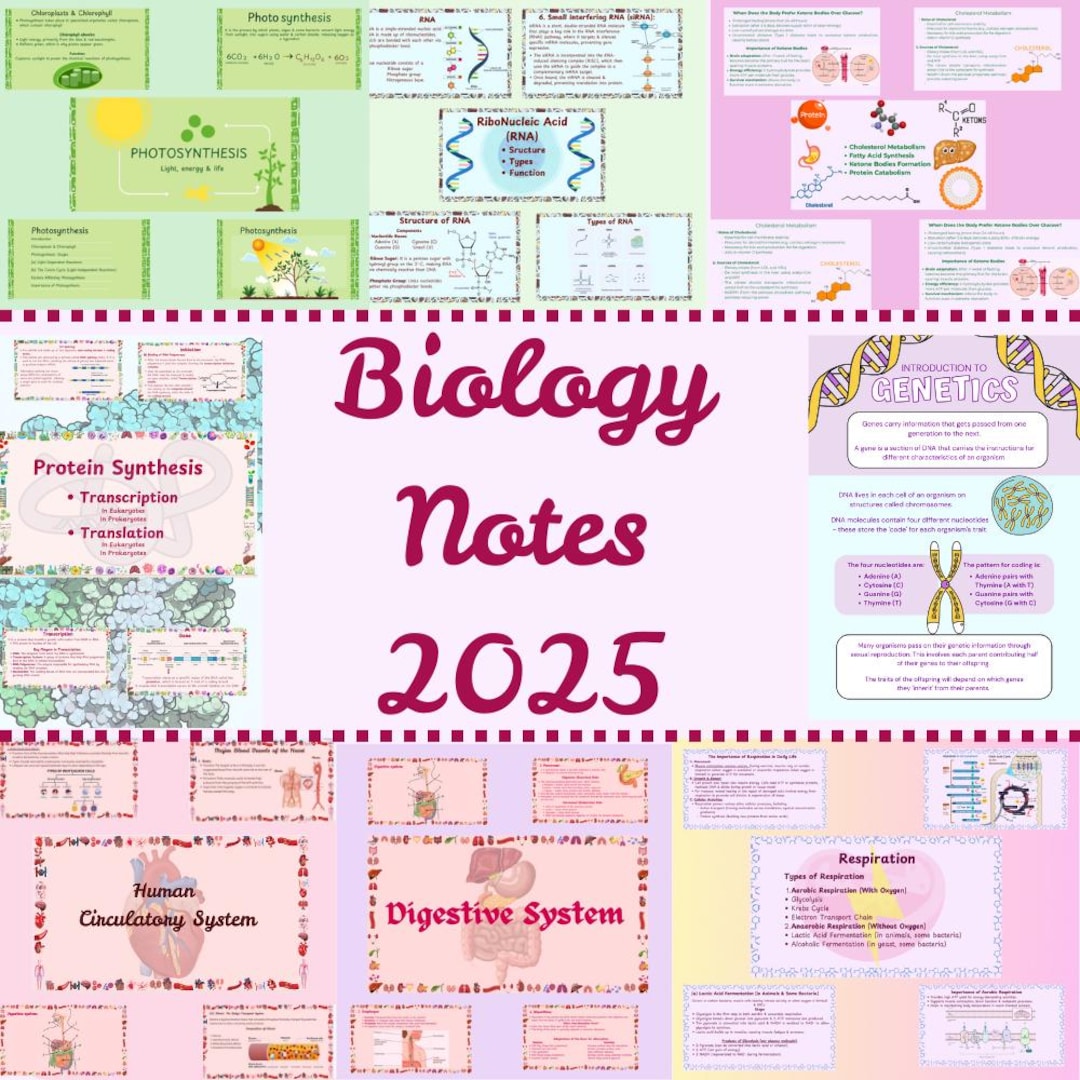 Biology Notes Bundle: Circulatory System, Photosynthesis, RNA ...